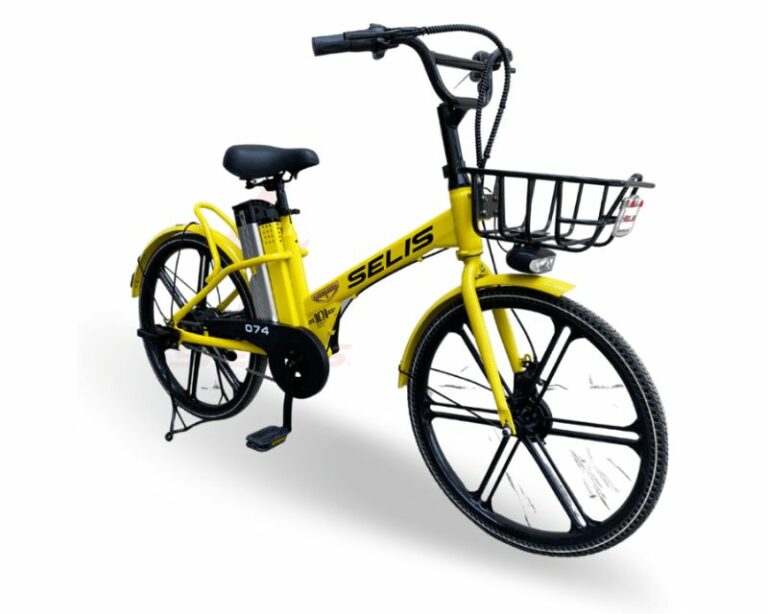 Rekomendasi Sepeda Listrik Selis dan Daftar Harganya